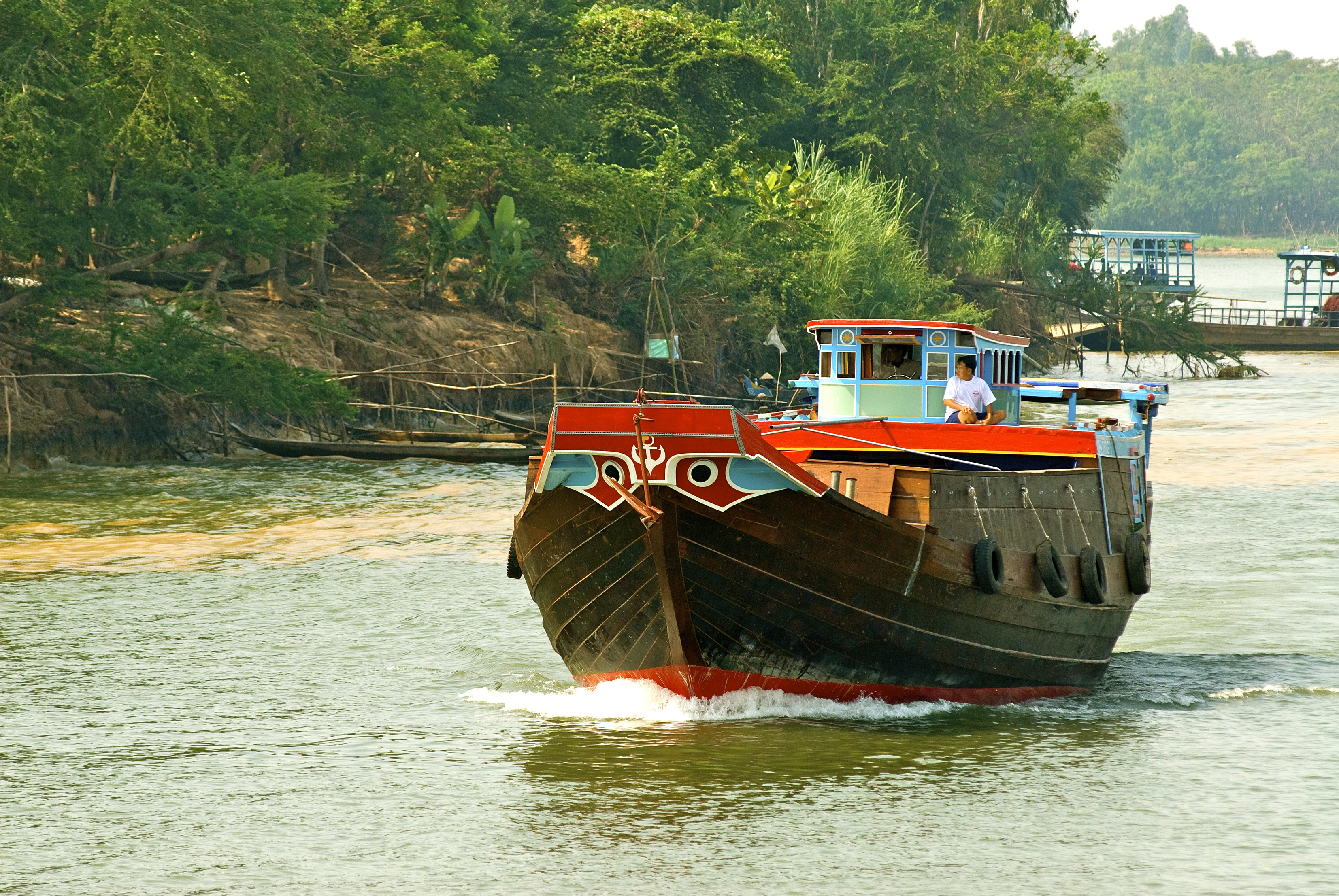 Mekong Reuzenkarper The Mekong River, Between Vietnam & Cambodia