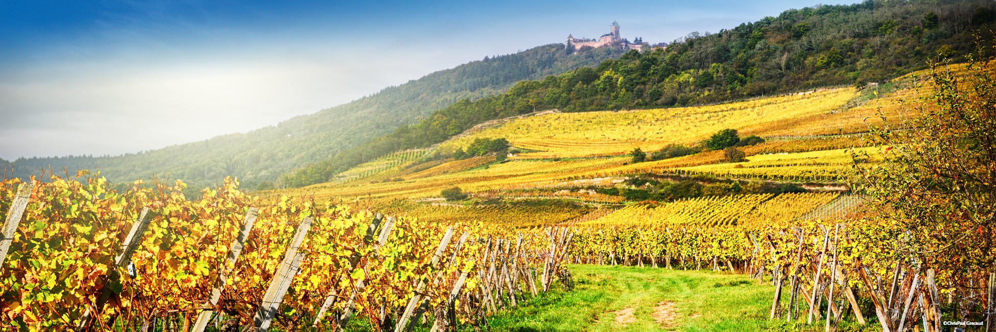 Food and Wine Rhine River Cruises | CroisiEurope Cruises