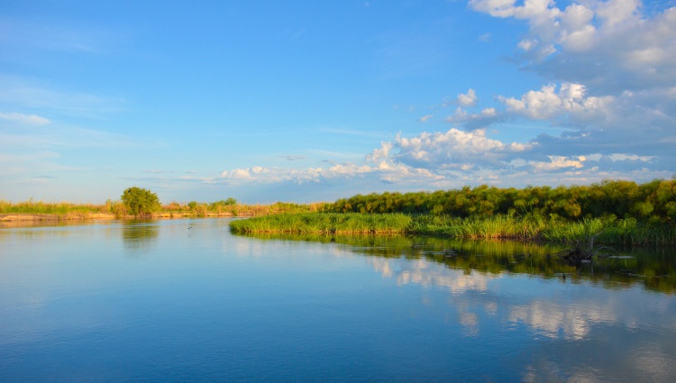 Excursion Impalila island - promenade pédestre de l'île | CroisiEurope
