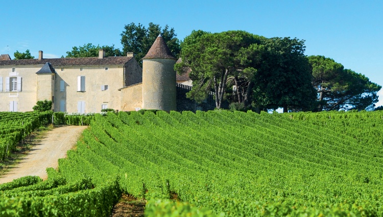 Excursions on the Gironde | CroisiEurope Cruises