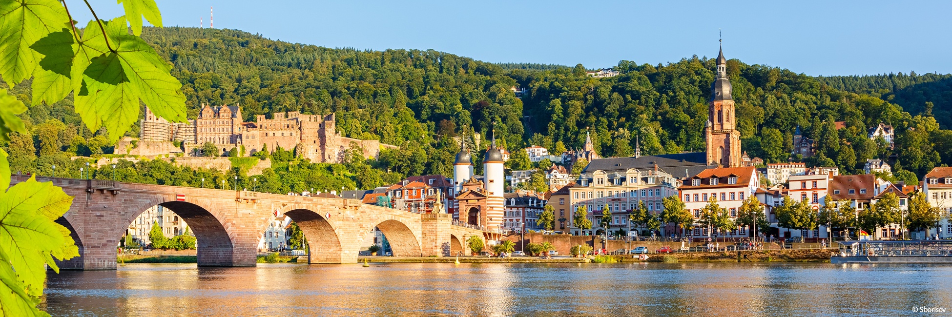 Hiking through the vineyards in Rudesheim | CroisiEurope Cruises