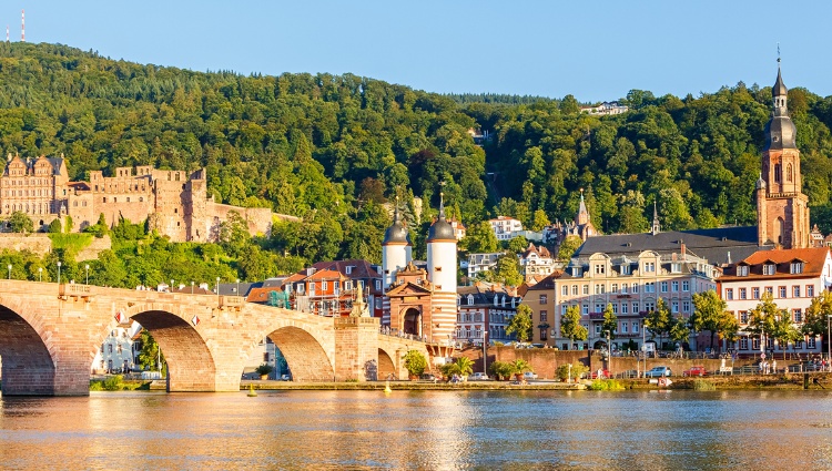 Randonnée dans le vignoble de Rudesheim | CroisiEurope