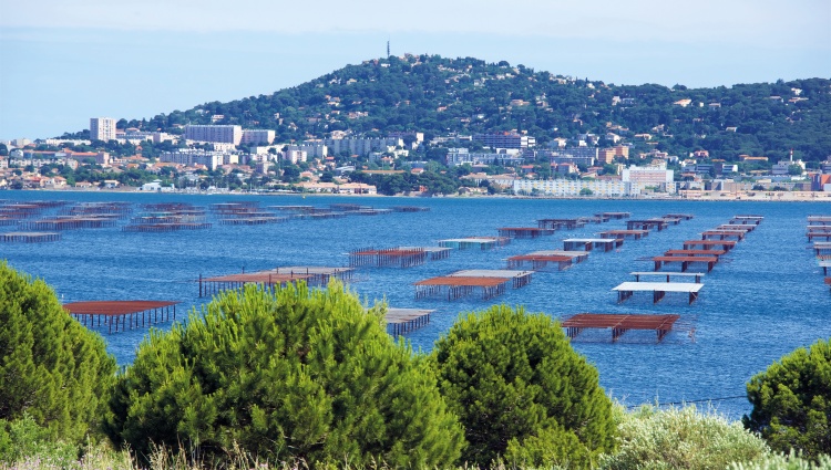 Visite de l'Etang de Thau | CroisiEurope