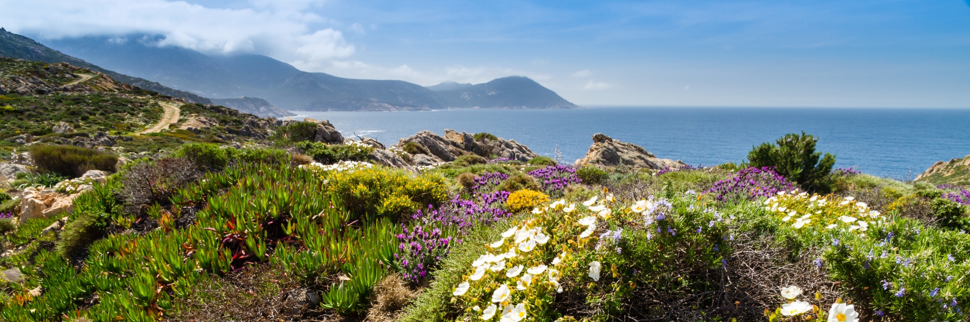 El maquis, país de los aromas | CroisiEurope España