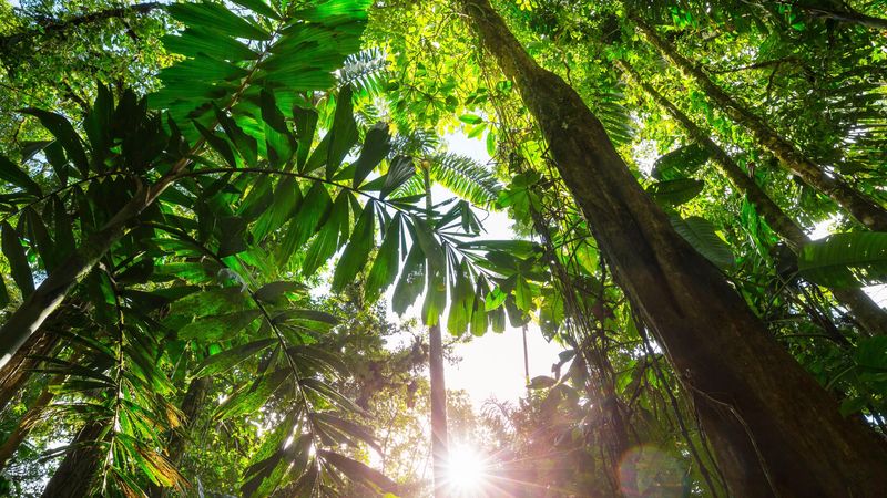 L’Amazonie secrète et préservée | CroisiEurope