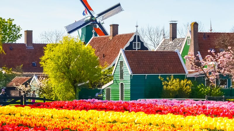 Croisière en Hollande | Amsterdam, Rotterdam et Anvers | CroisiEurope