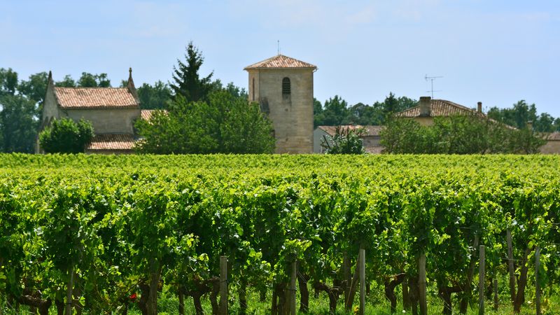 Découverte de Saint-Emilion, sa ville et son appellation | CroisiEurope